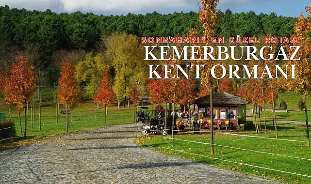 Sonbaharın en güzel rotası; Kemerburgaz Kent Ormanı - YAŞAM ...